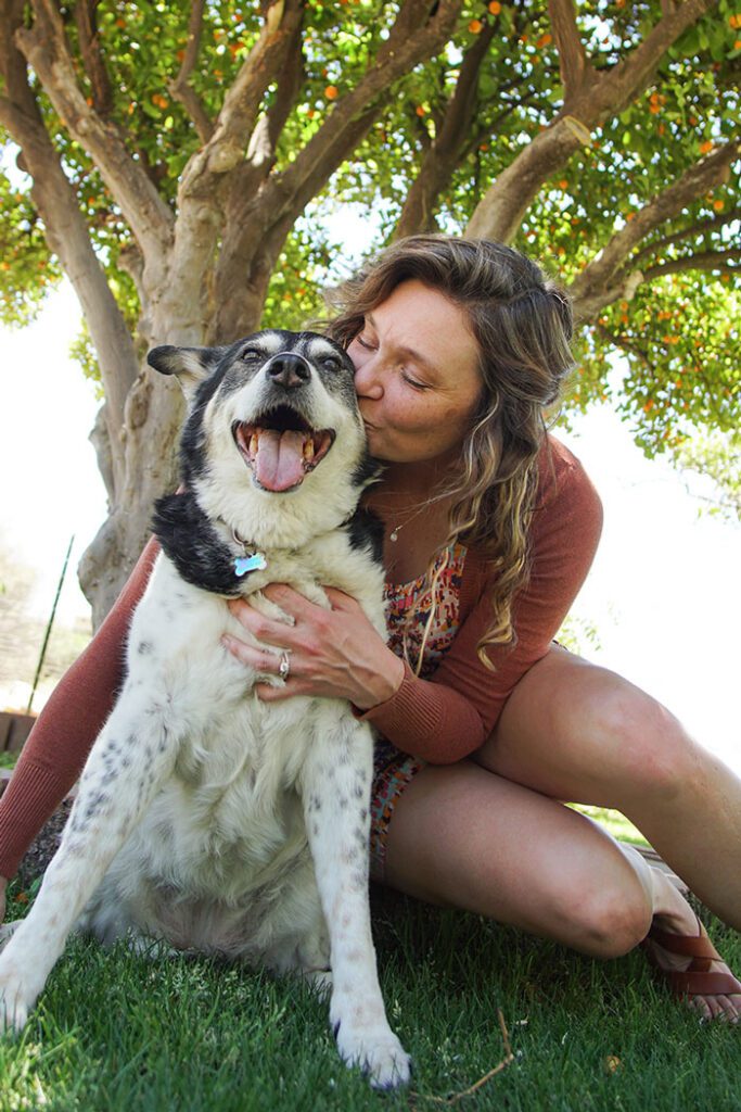 Veterinarian and Animal Hospital in Oro Valley, AZ | The Bailey ...
